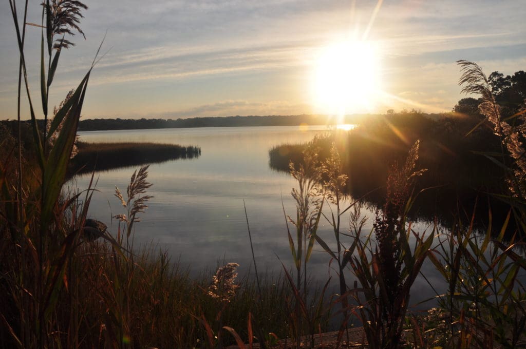 Clean Water - The Moore Charitable Foundation