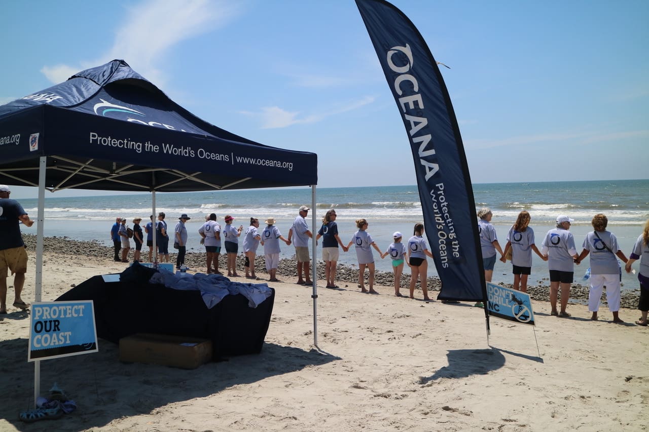 Healthy Oceans - The Moore Charitable Foundation