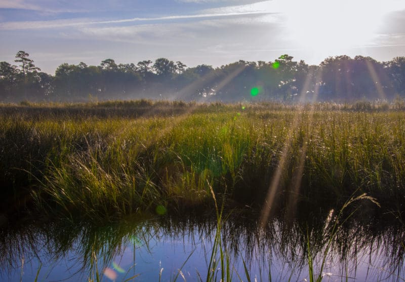 North Carolina - The Moore Charitable Foundation