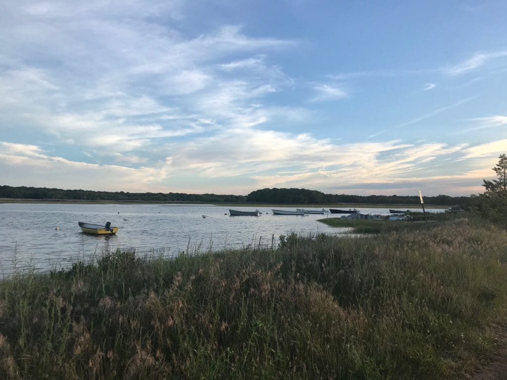 Elizabeth Helms - The Moore Charitable Foundation